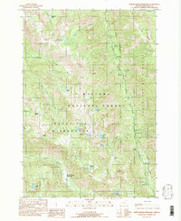 1990 Map of North Minam Meadows, Wallowa County, OR — High-Res | Pastmaps
